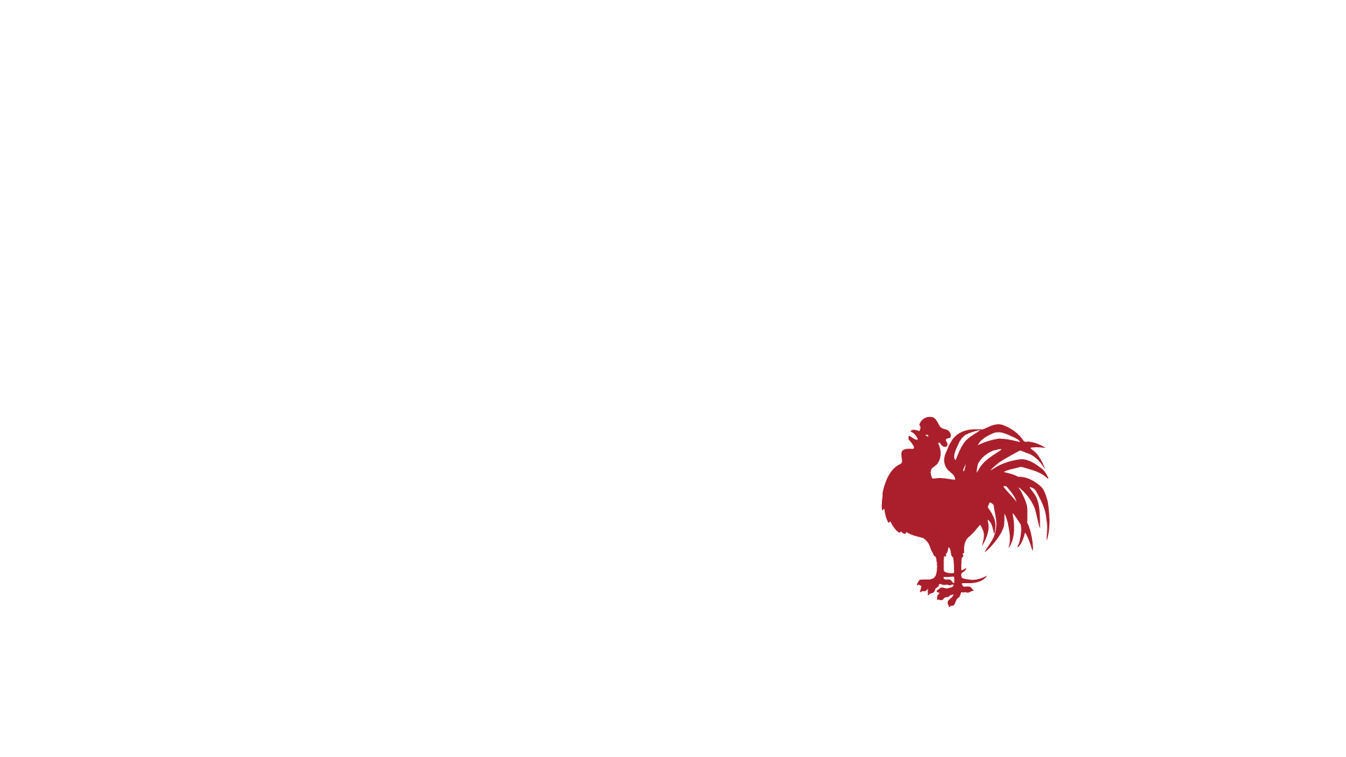 Sydney Roosters Corporate | Sydney Roosters Business Club